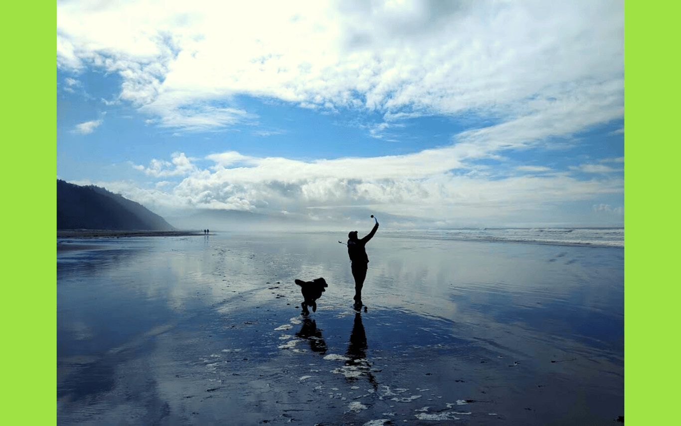 Counseling@Northwestern | Faculty Perspective | 2U, Inc. | 2U