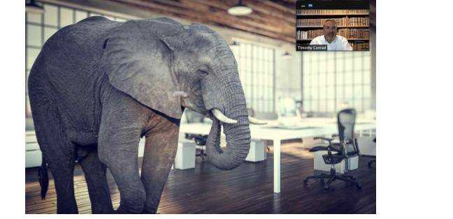 Tim Conrad I Faculty Story I Counseling@NYU | 2U